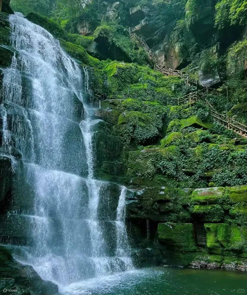 [Meet Xiangxiang] Bifengxia Panda Base & Huanglongxi One-day Tour ...